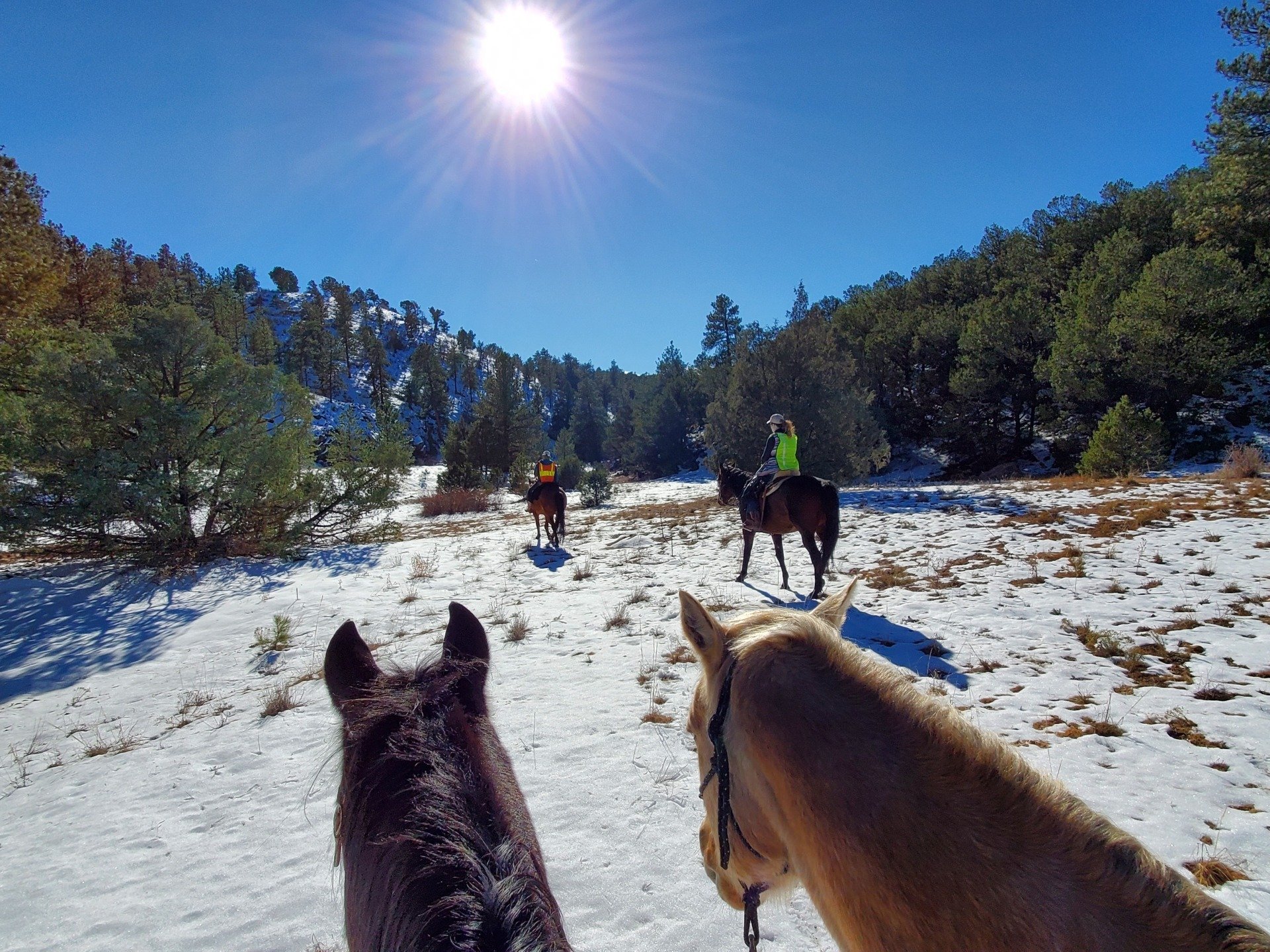 Georgia Ranch Trail rides horses nature adventure riding